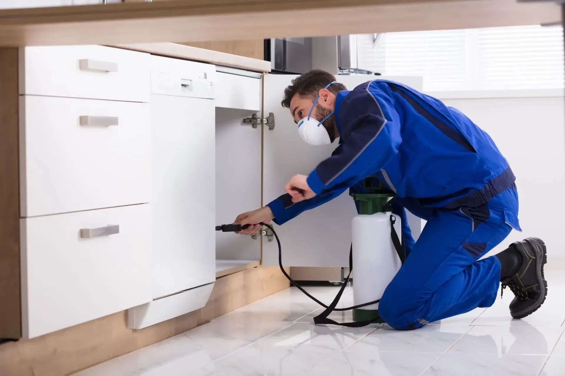 Pest-Free Properties: The Benefits of Integrated Pest Management for ...